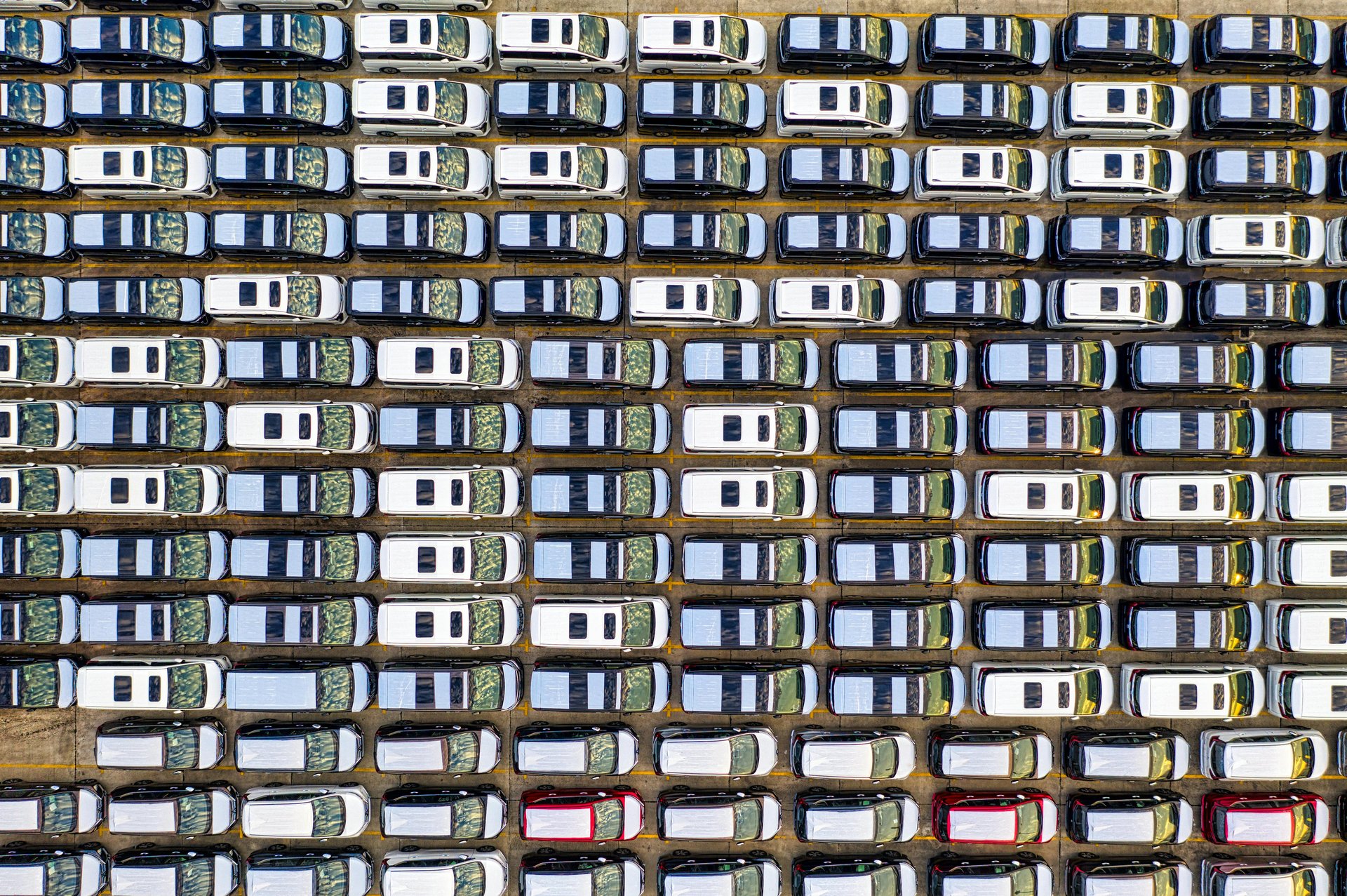 Complete Guide to Container Shipping for Vehicles